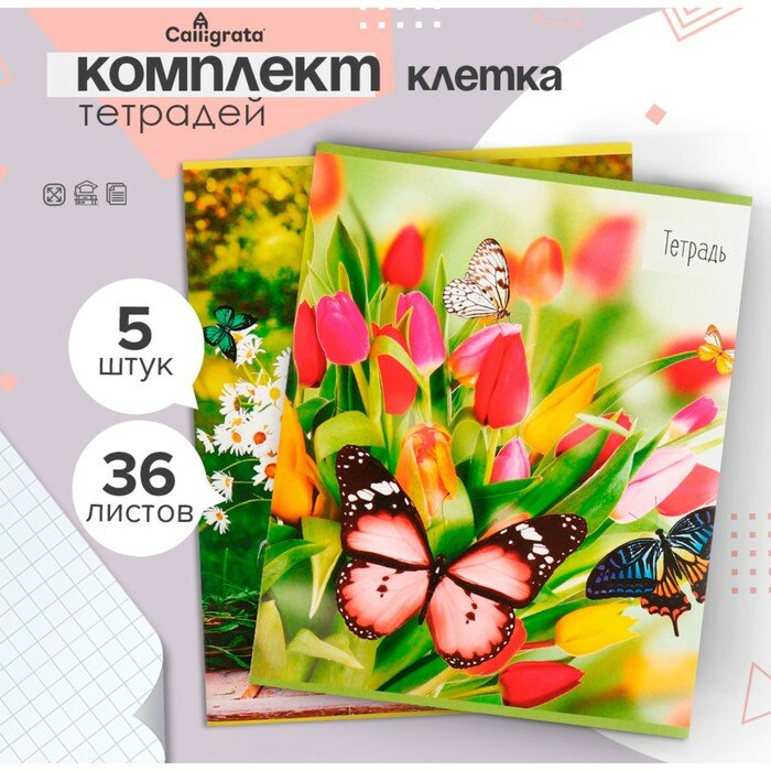 Набор тетрадей 36 листов в клетку, Calligrata «Бабочки», обложка мелованная бумага, серые листы, 5 шт.