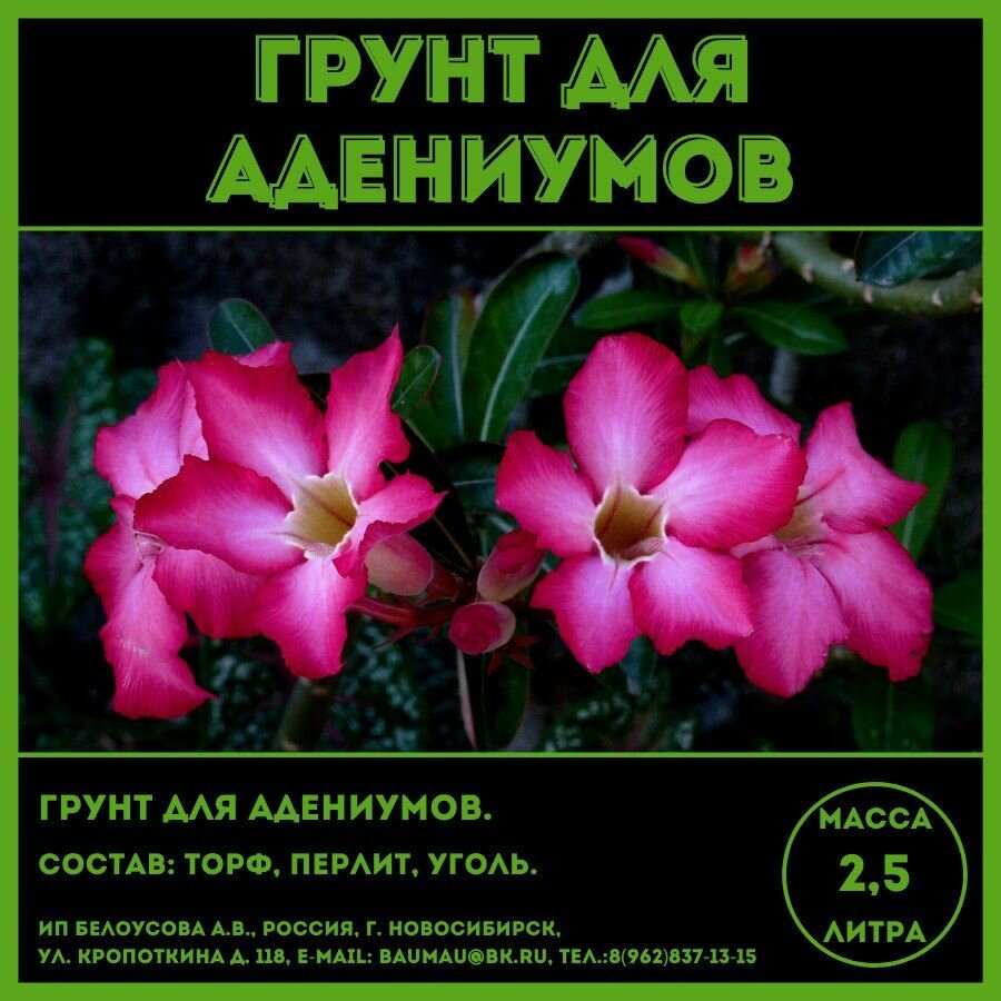Грунт для адениумов — фото 1