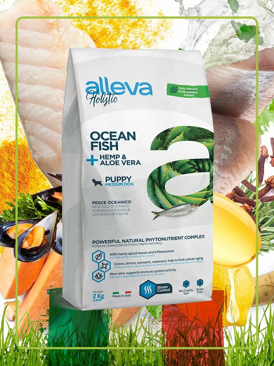 Alleva Holistic Puppy/Junior Ocean Fish Medium сухой корм для щенков средних пород с океанической рыбой, коноплей и алое вера 2 кг