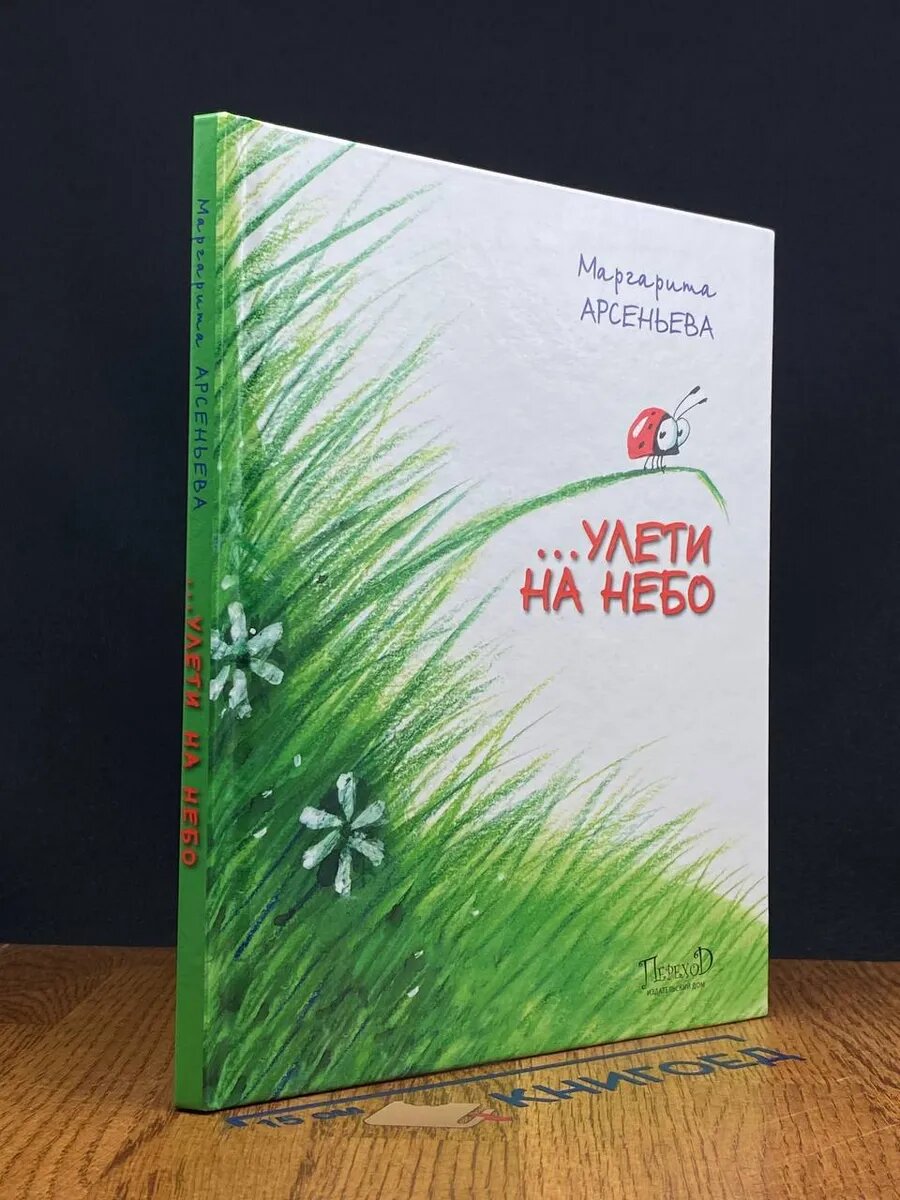 Книга. Улети на небо 2013 (2041123788404)