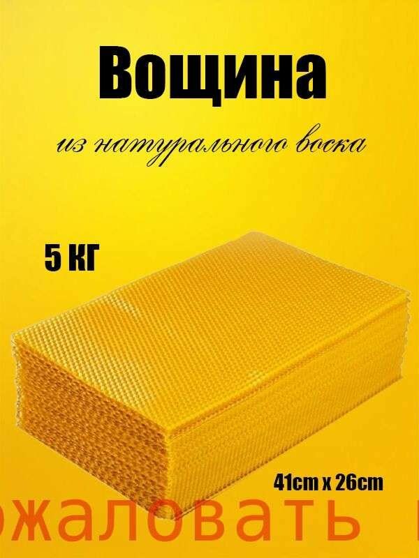 Вощина