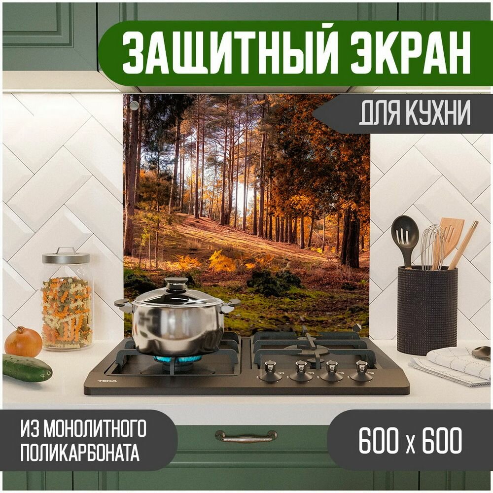 Фартук для кухни, Защитный экран из акрилового стекла (поликарбонат) на кухонный фартук в зону мойки и плиты с фотопечатью. Панель на стену с рисунком Пейзаж 600 х 600 х 3 мм, 600-023