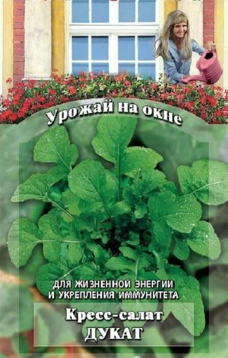 Семена Кресс-салат Дукат