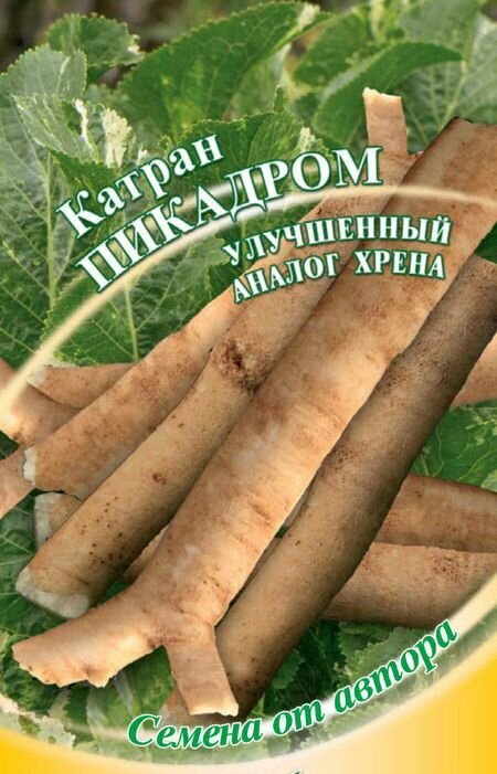 Семена Катран Пикадром