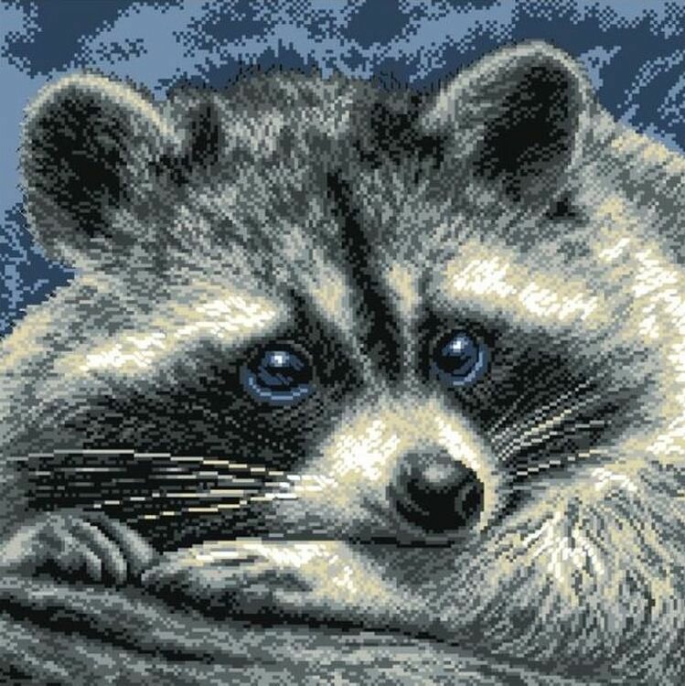 Рисунок на ткани Матренин Посад "Енот" 41x41 см