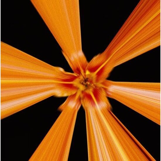 Виниловая пластинка SP Digital Gruppa Skryptonite - Потеплело (Coloured)