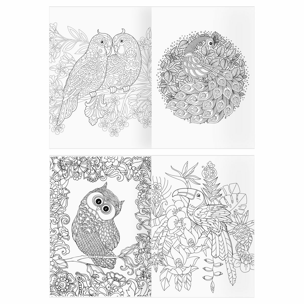 Раскраска Три Совы "Антистресс. Райские птицы", А4, 16 стр. (PА4_58092), 50шт.