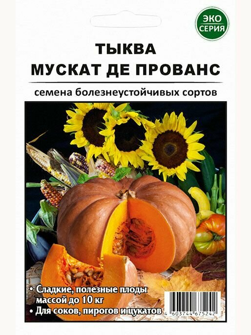 Тыква Мускат де Прованс 20 шт (эко-серия)