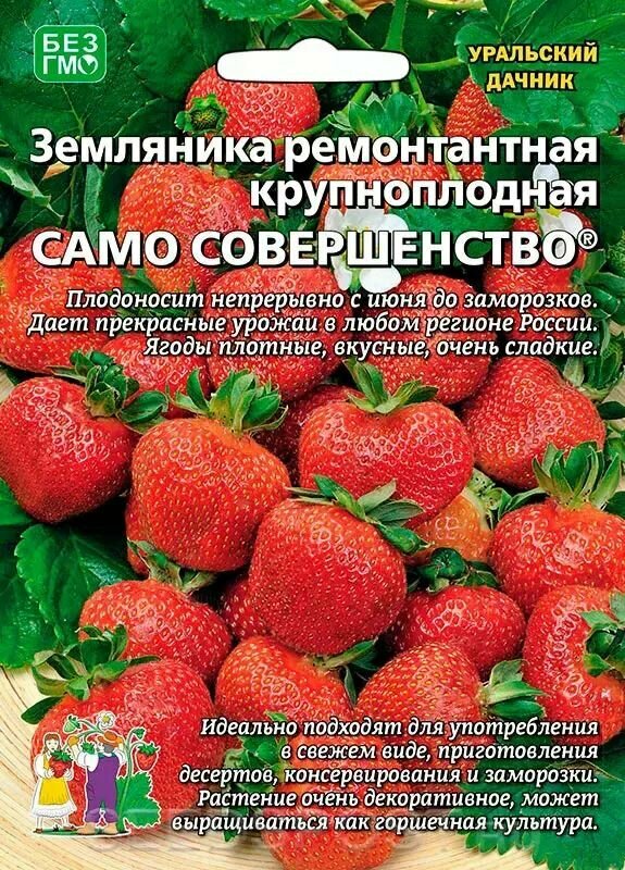 Семена Земляника Само совершенство - ремонтантная Уральский дачник Е/П Б/Ф