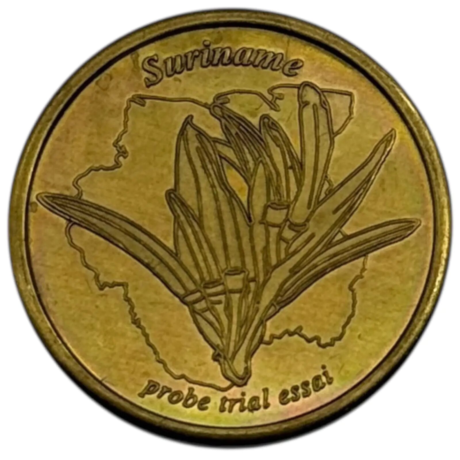 Суринам 20 евроцентов 2005 г. Essai (Проба)