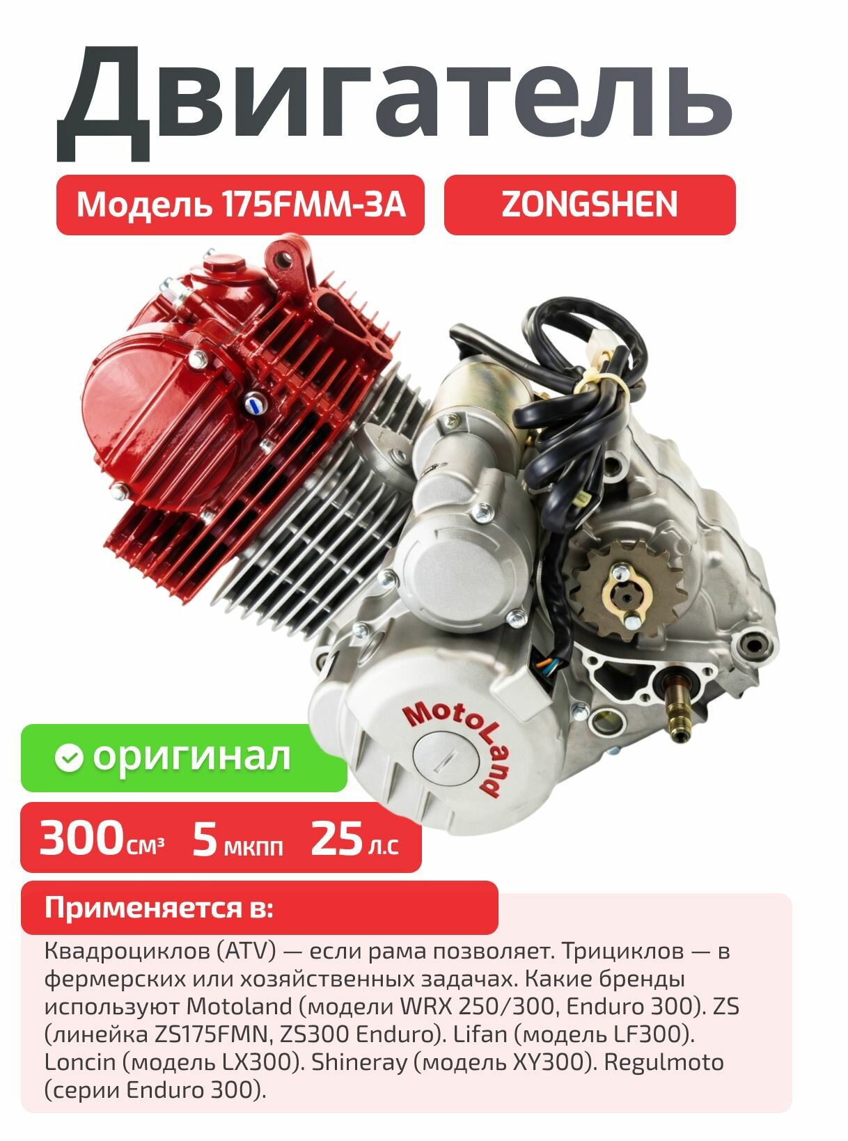 Двигатель 300см3 175FMM-3A (CB300-F D-75мм) ZS грм цепь,5ск для эндуро, кроссового мотоцикла