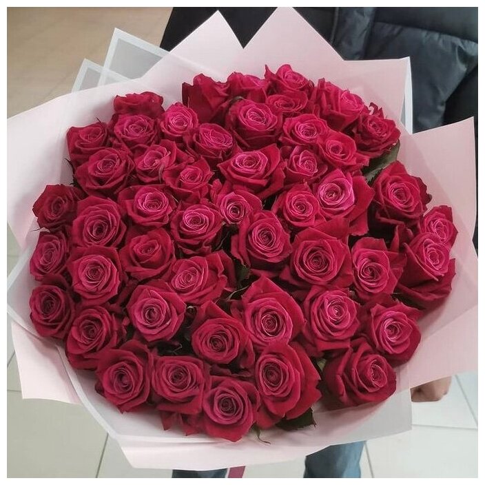 Букет живых цветов из 51 малиновой розы 50см / Арт. 91183 / Радуга Букет