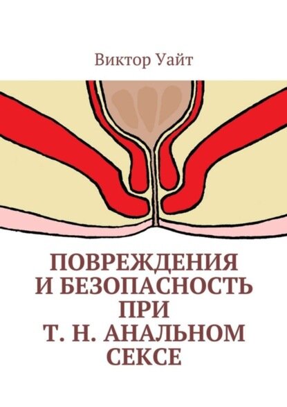 Повреждения и безопасность при т. н. анальном сексе [Цифровая книга]