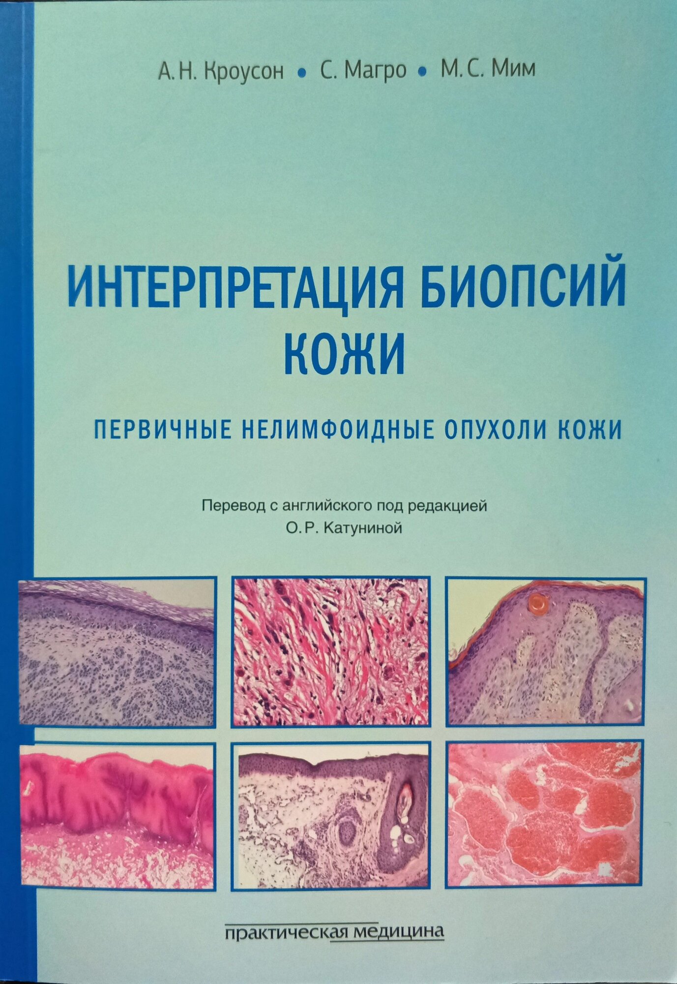 Интерпретация биопсий кожи. Первичные нелимфоидные опухоли кожи