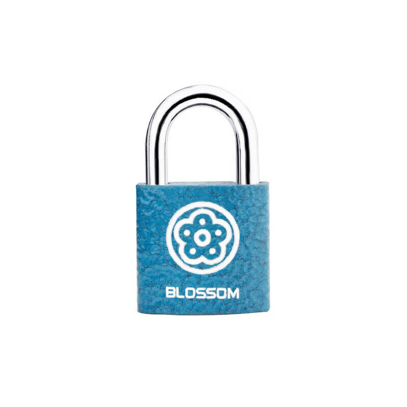 BLOSSOM Drawer Lock, Padlock, Toolbox, Indoor Small Lock, Dormitory Cabinet Door Lock, Electric Meter Box Lock, BC2925, Blue, 25MM