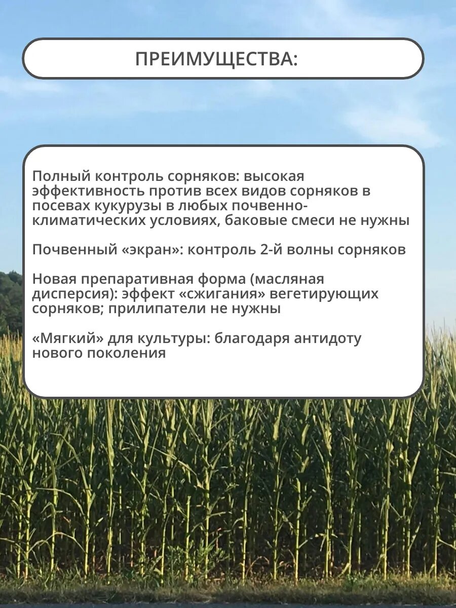 МайсТер Пауэр, МД 5л, послевсходовый гербицид для контроля сорных растений на кукурузе — фото 1