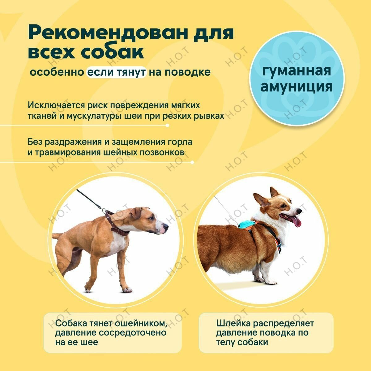 Шлейка — фото 1