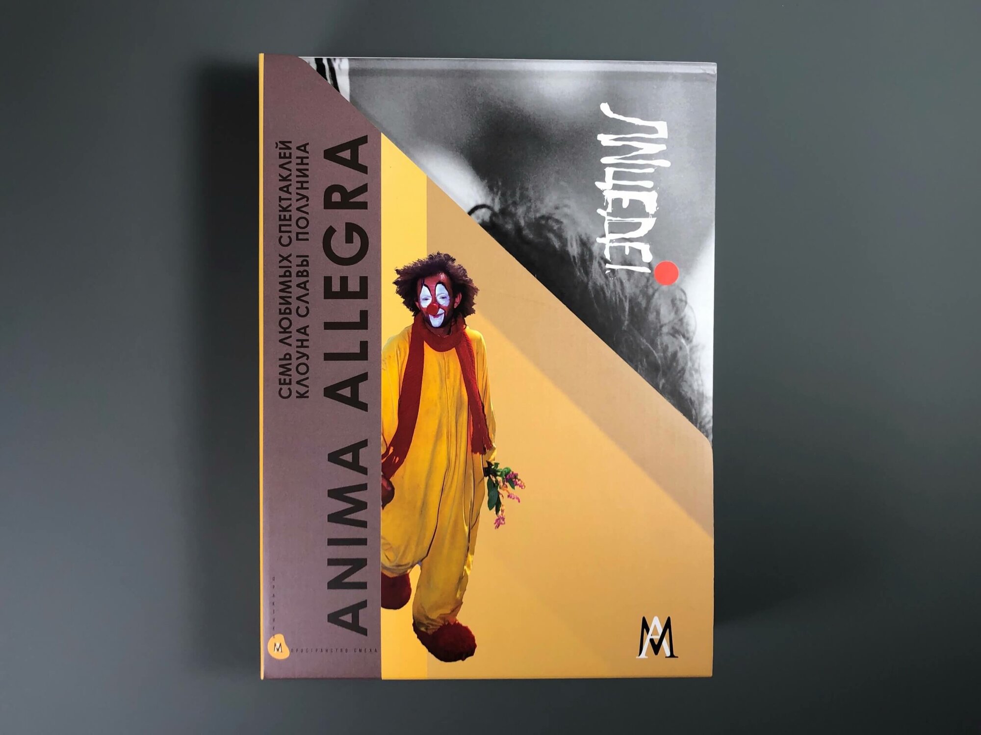 Anima allegra. Семь любимых спектаклей клоуна Славы Полунина / Книги о театре