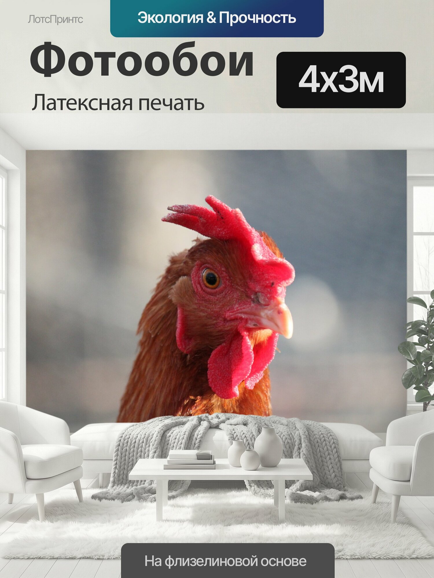 Фотообои моющиеся ударопрочные "Курица лица 1 Производство красный курица курица куры красный курица красный цыпленок" 400x300 см. латексная печать