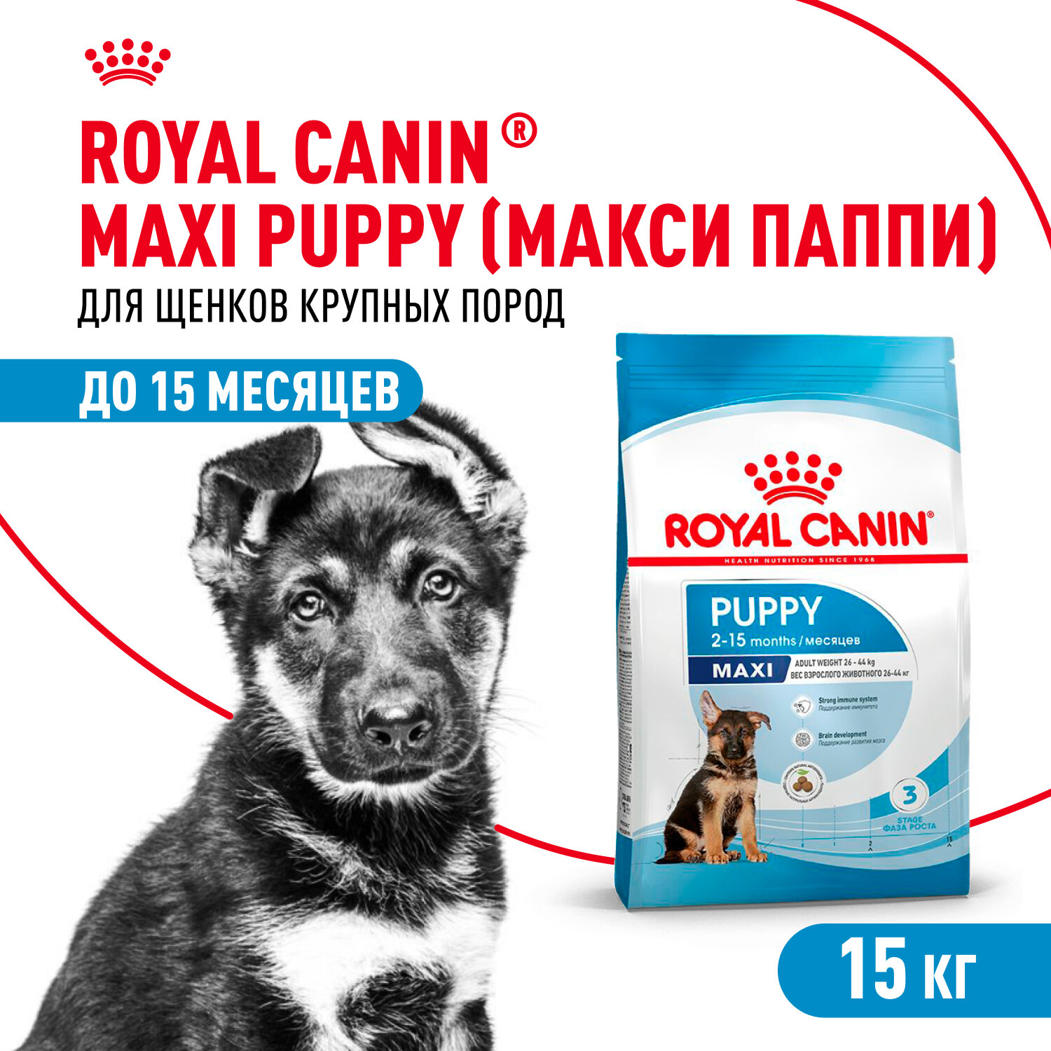 Сухой корм ROYAL CANIN MAXI PUPPY для щенков крупных пород в возрасте от 2 до 15 месяцев, 15 кг