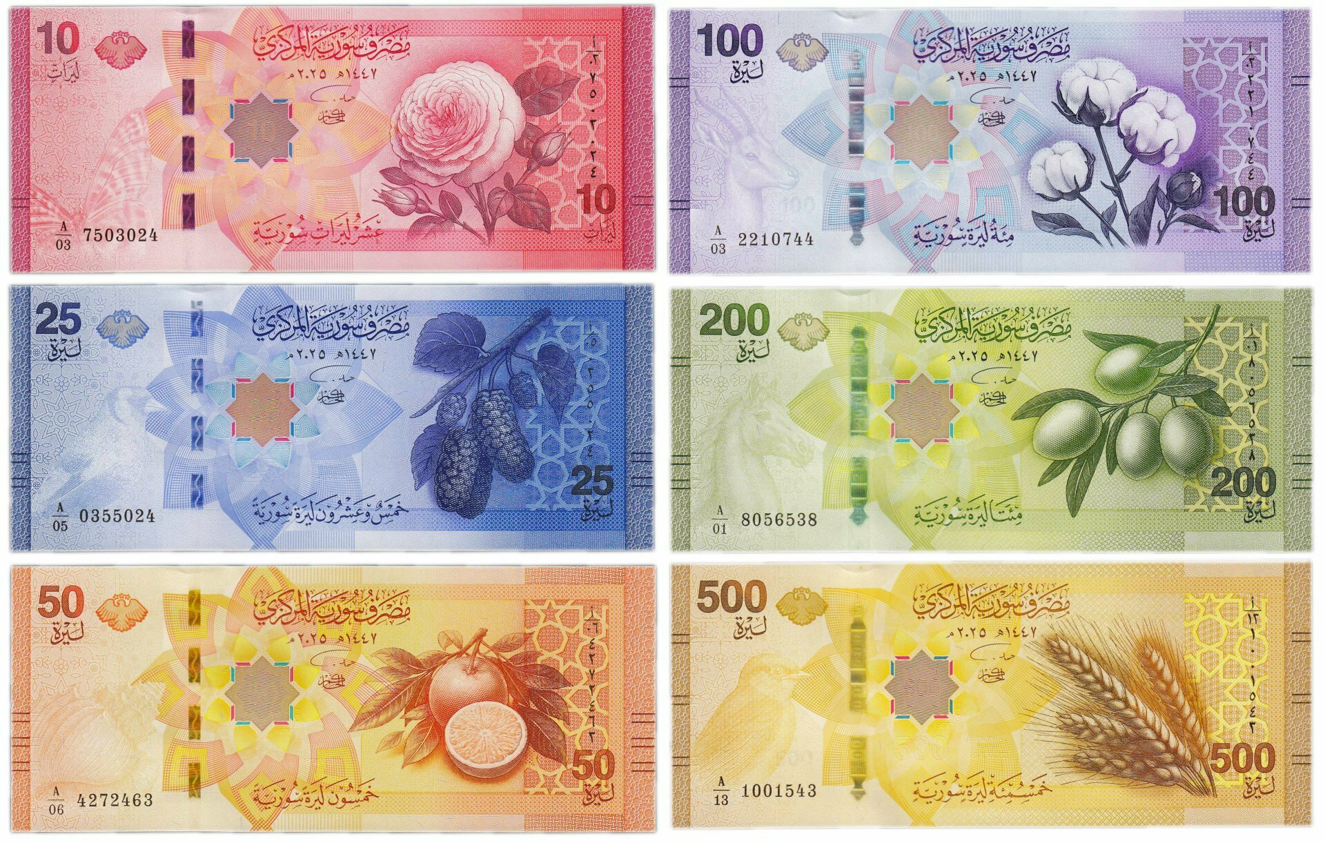 Сирия набор из 6 банкнот 10,25,50,100,200,500 2025 , случайный номер банкнот