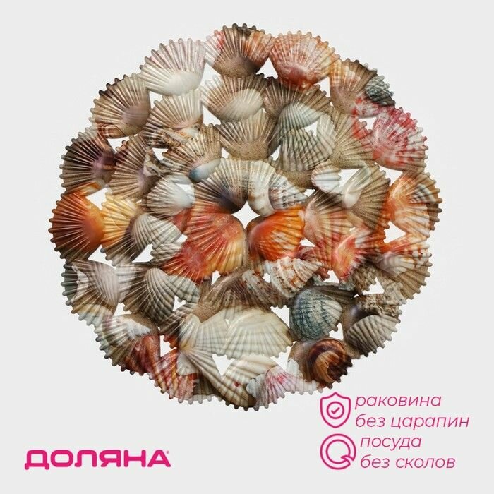 Решётка в раковину Доляна круглая "Ракушки" 28х28 см, ПВХ