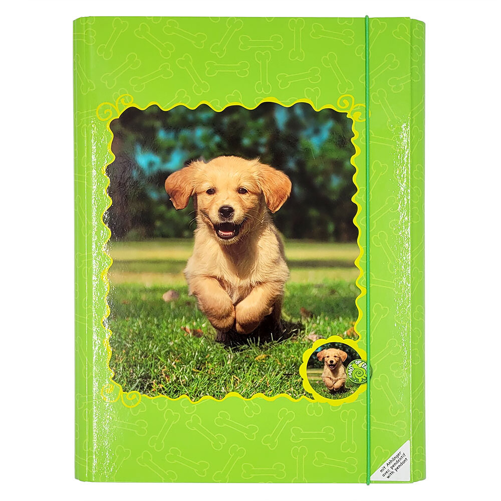 Папка-бокс на резинке Brunnen (Германия), A4, Щенок