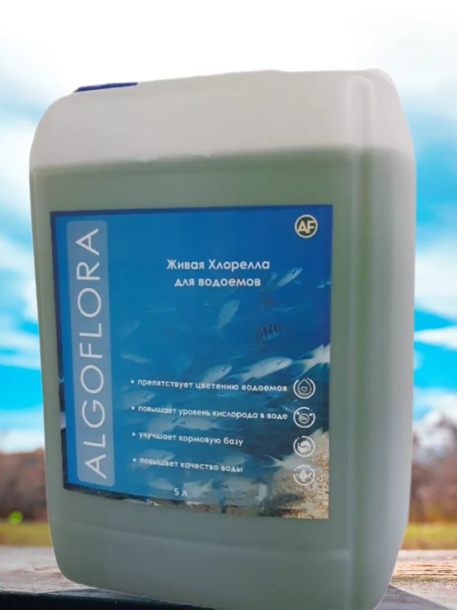 Хлорелла для биологической очистки пруда 5 литров натуральный состав