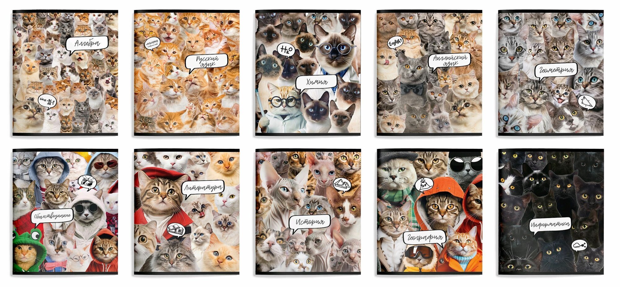 Комплект (10 шт.) предметных тетрадей 48л. Schoolformat кошачий МИР