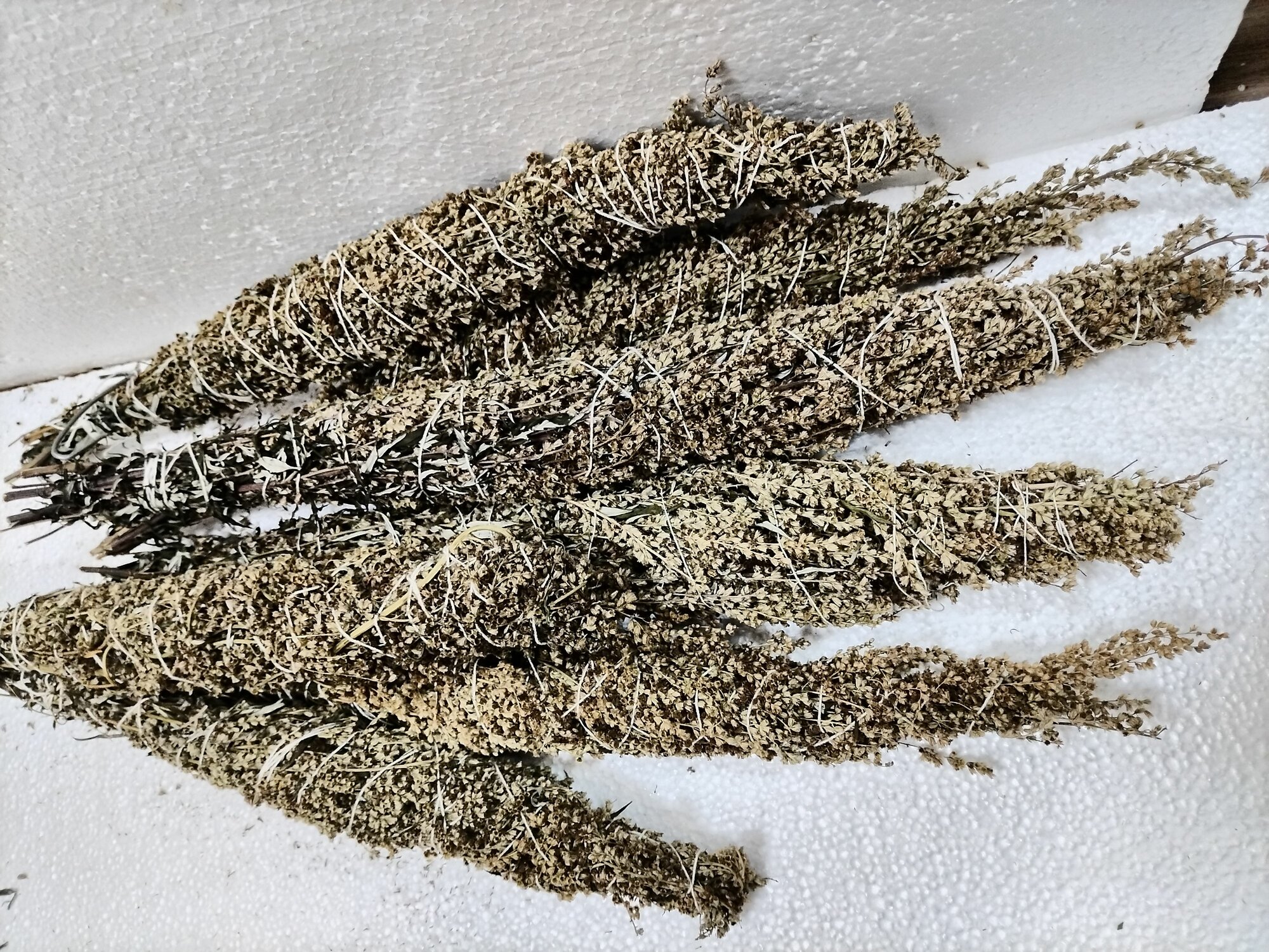 Скрутки из полыни. Набор из 7 шт. по 36 см. Окуривание помещений, банная запарка, декор