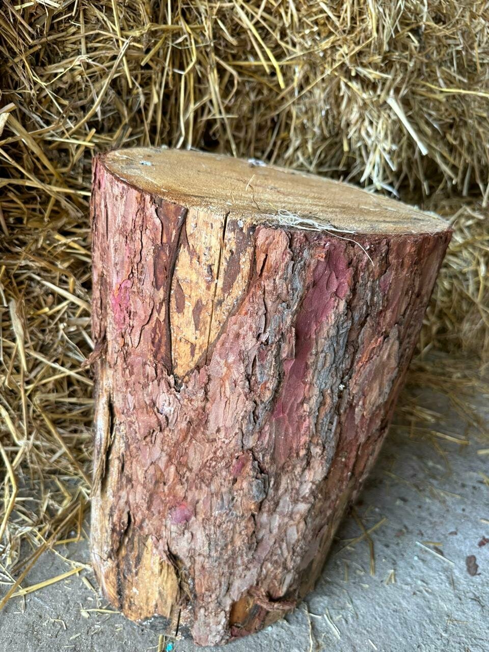 Чурка сосновая уральская 45-50см