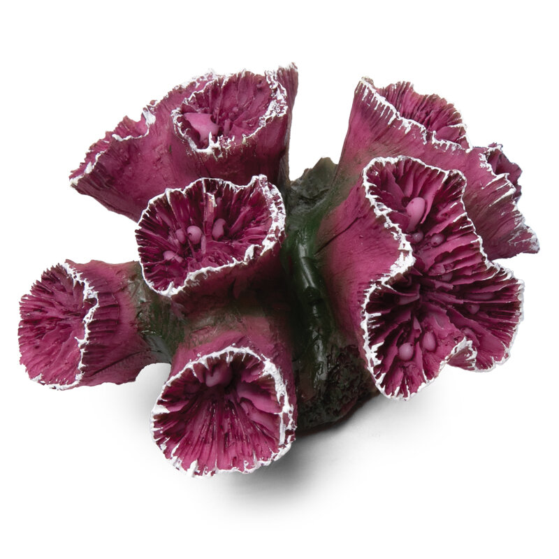 Laguna Коралл искусственный "Кауластрея", M, бордово-белый, 9*8,5*5см