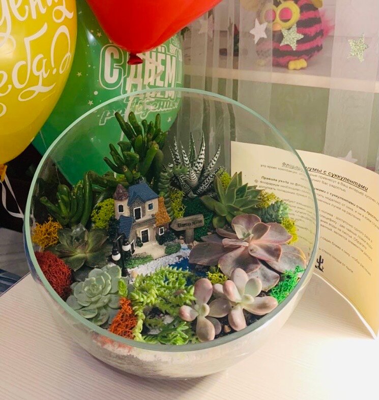 Флорариум сфера с суккулентами L