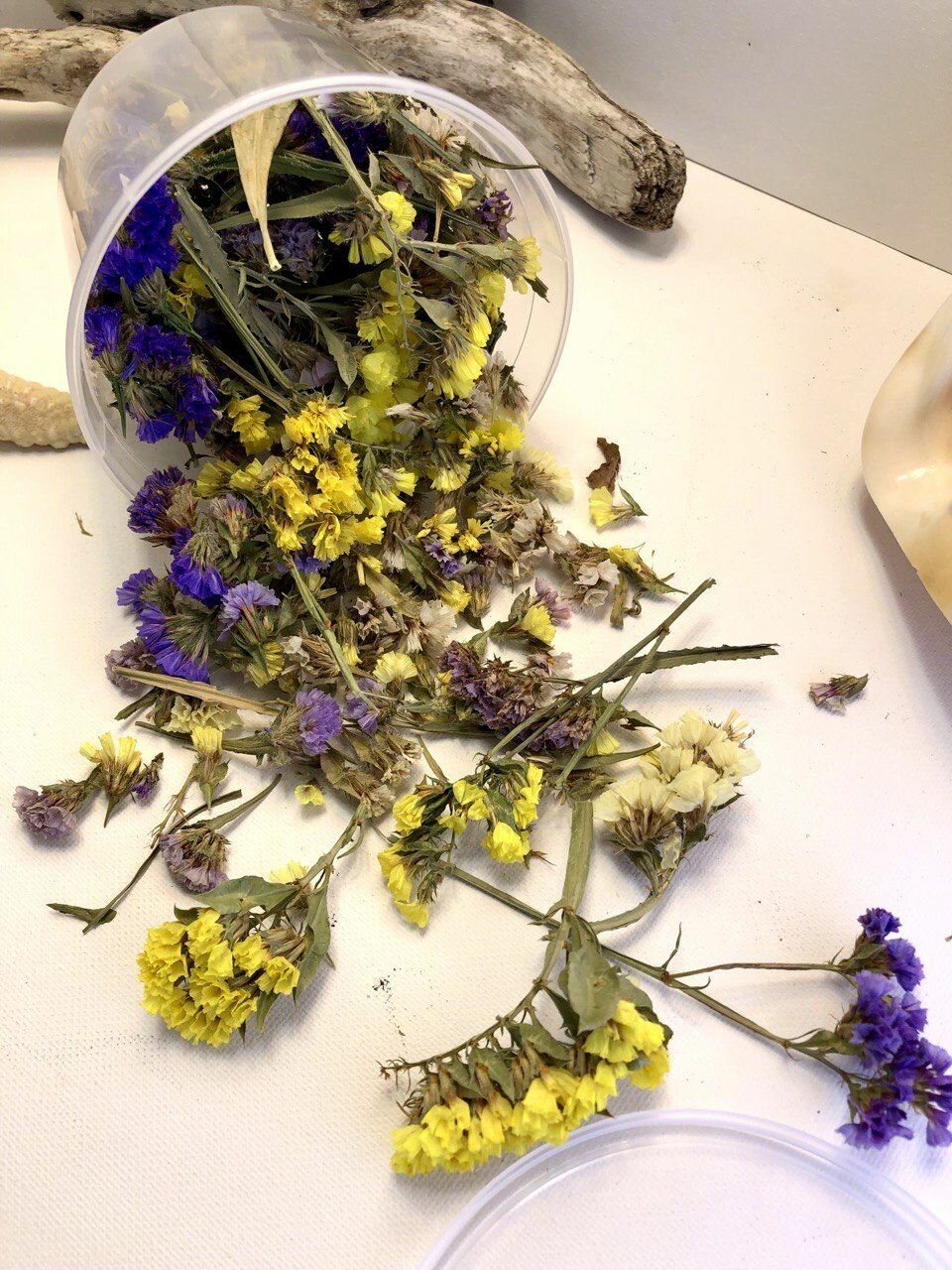 Статица микс натуральные сухоцветы для творчества 35 гр. (500мл)