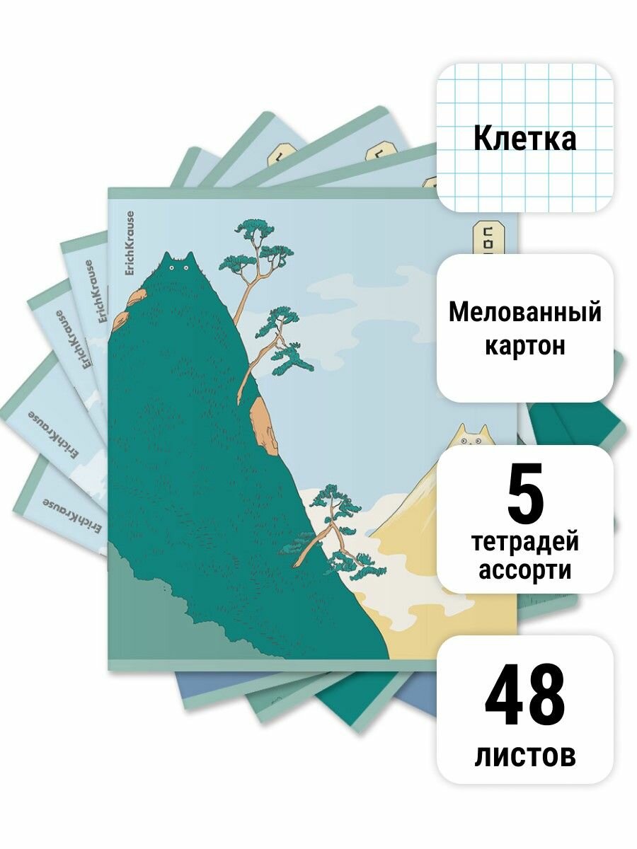 Тетрадь общая ученическая Найди кота, 48 листов , клетка