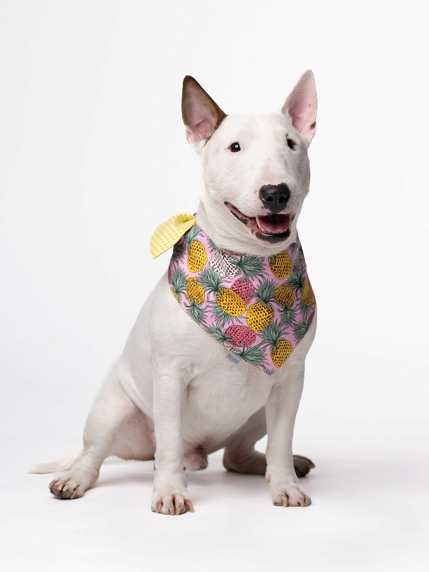 Бандана двухсторонняя для собак "Ананас", размер L