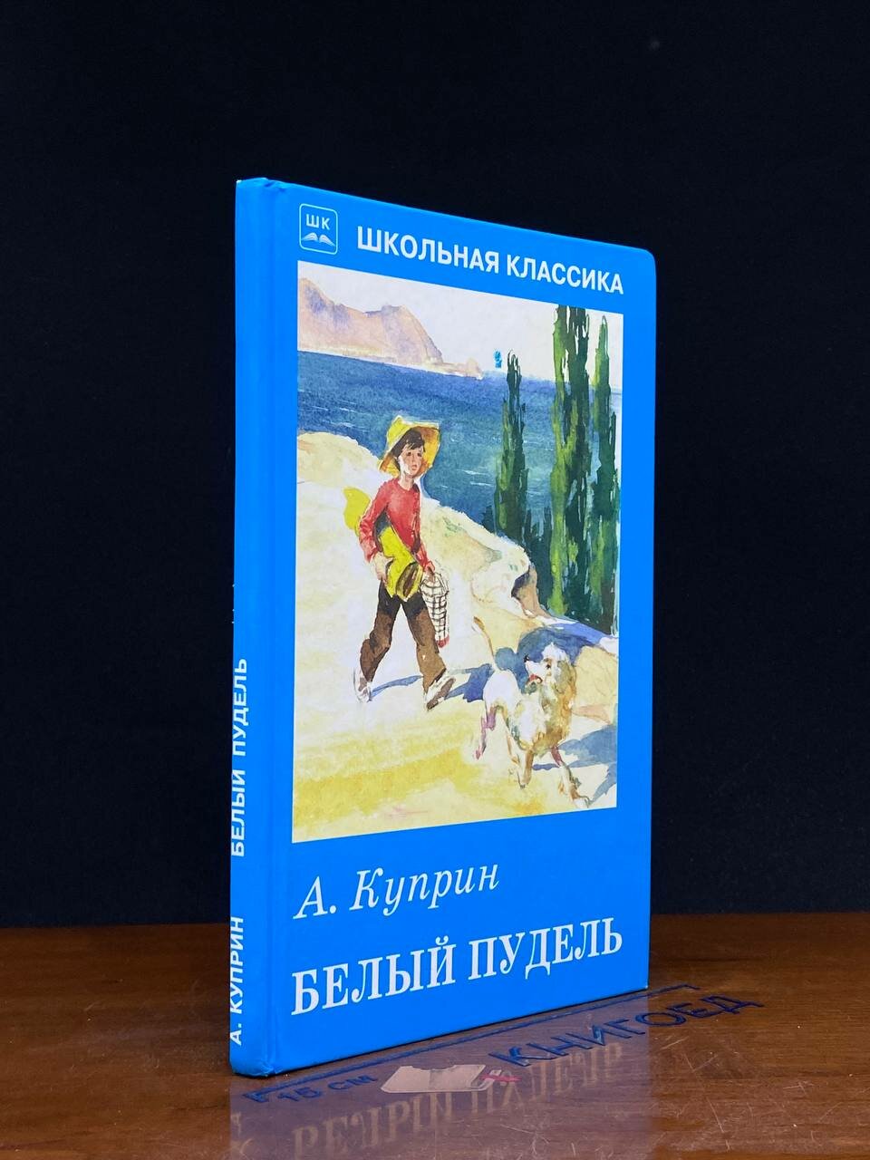 Книга. Белый пудель 2016 (2042692083907)