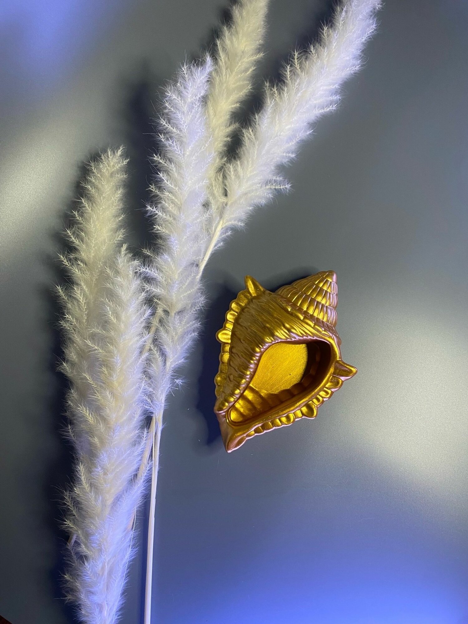 Ракушка от магазина эврика, органайзер, Золотой цвет 1шт