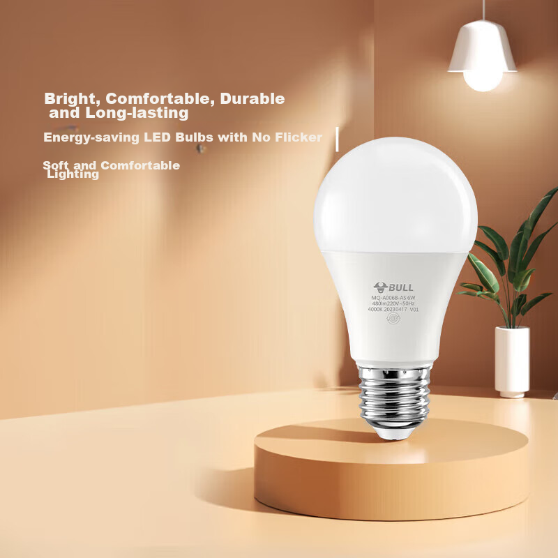 BULL LED Bulb, E27 Large Screw Base, Globe Bulb, High Brightness, 4W, Cool White (Daylight Color), 6500K