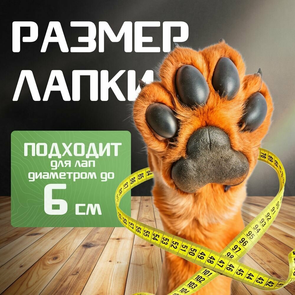 Лапомойка — фото 1