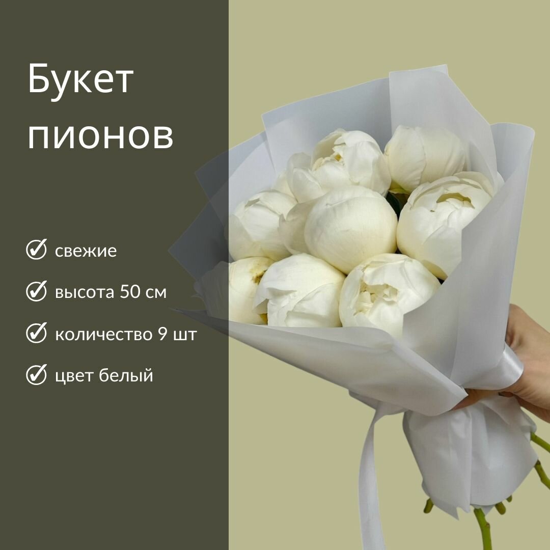 Букет пионы белые 9шт 50см живые свежие