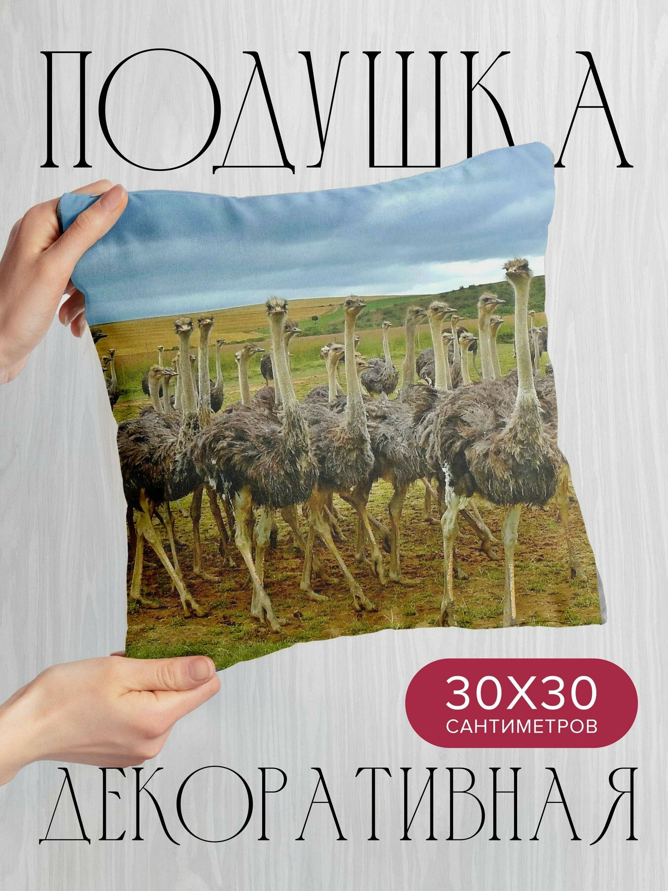 Подушка декоративная, 30x30см / Животные / страусы / африка