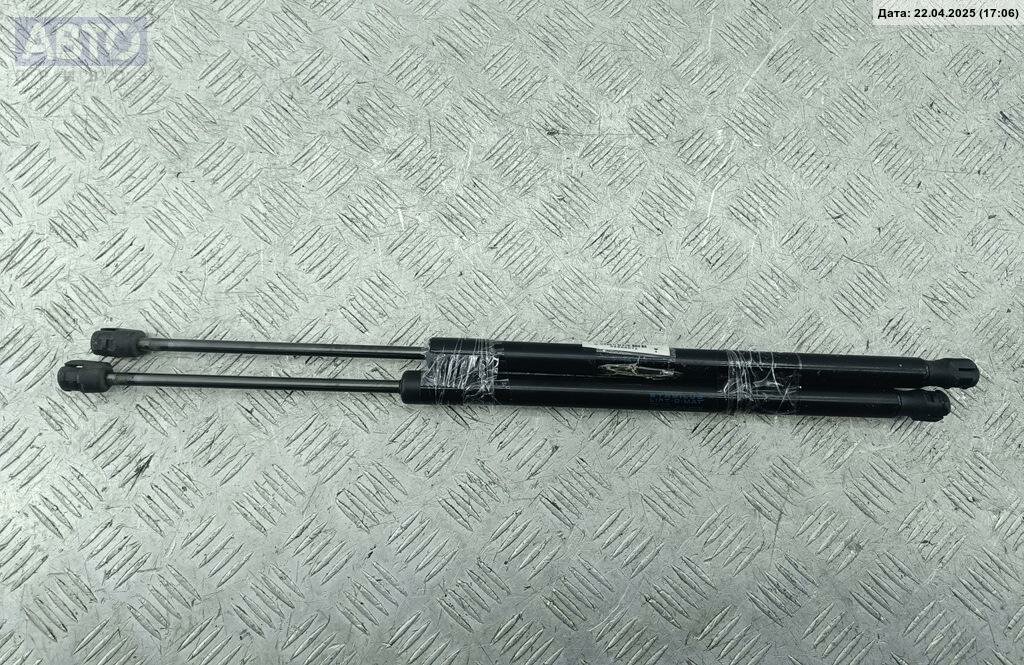 Амортизатор крышки (двери) багажника Renault Scenic 2 (2003-2009)