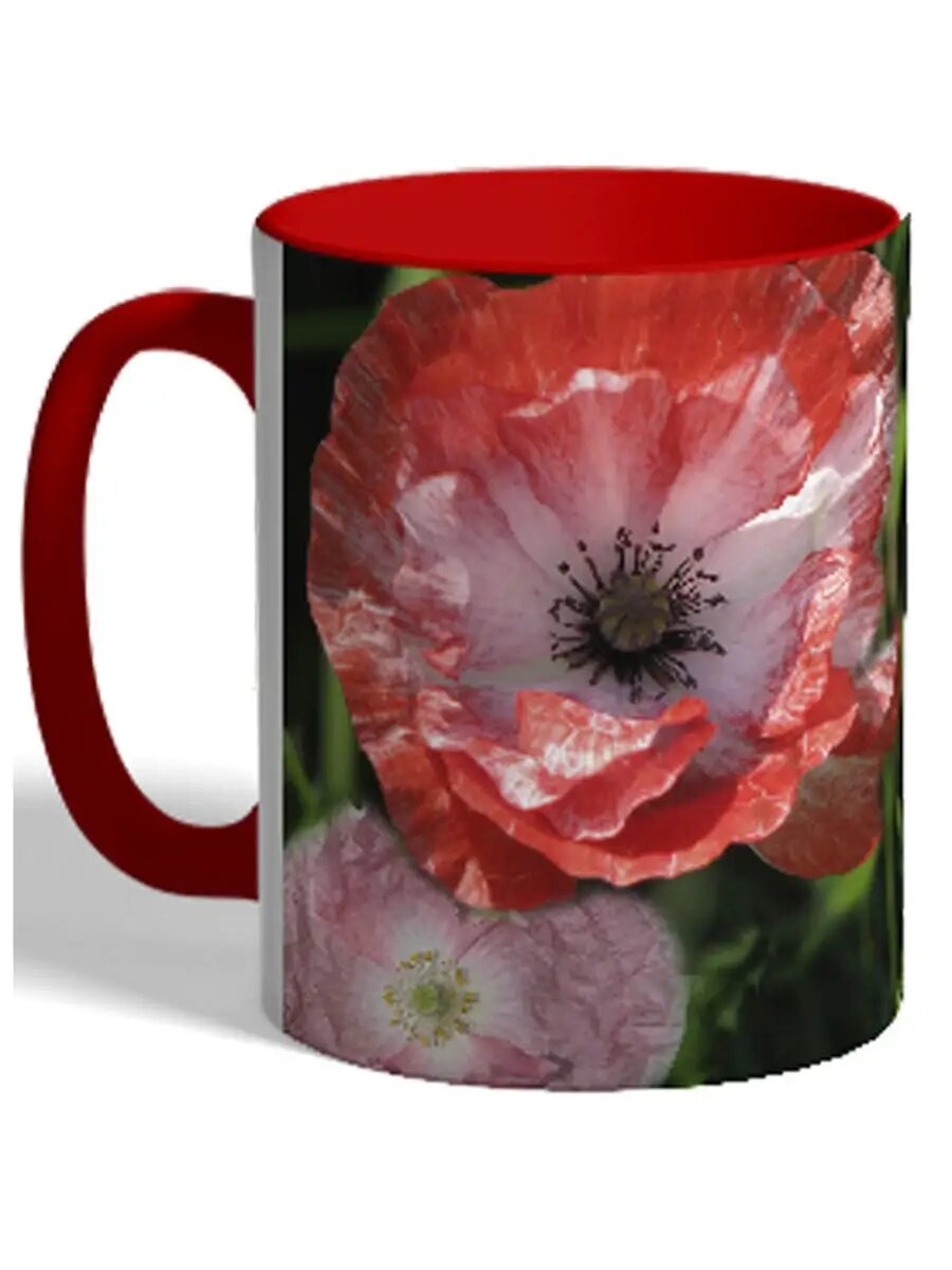 Кружка керамическая с принтом Маки, подарочная, объем 330 мл