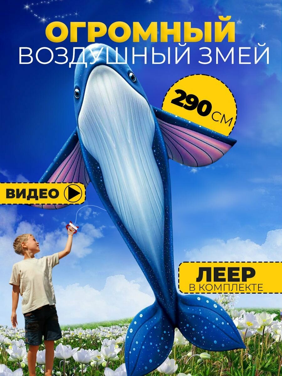 Воздушный змей