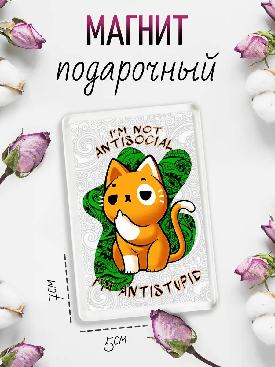 Магнит-украшение с рисунком Кот антитупой, акриловый, размер 7*5 см