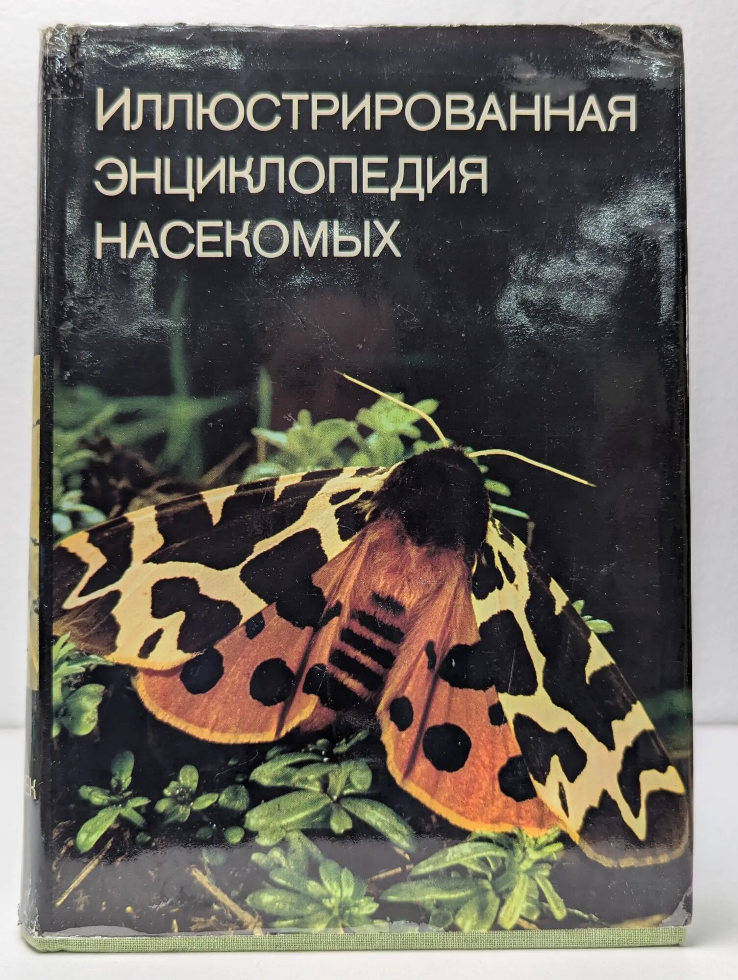 Иллюстрированная энциклопедия насекомых Станек Владимир Я. 1973