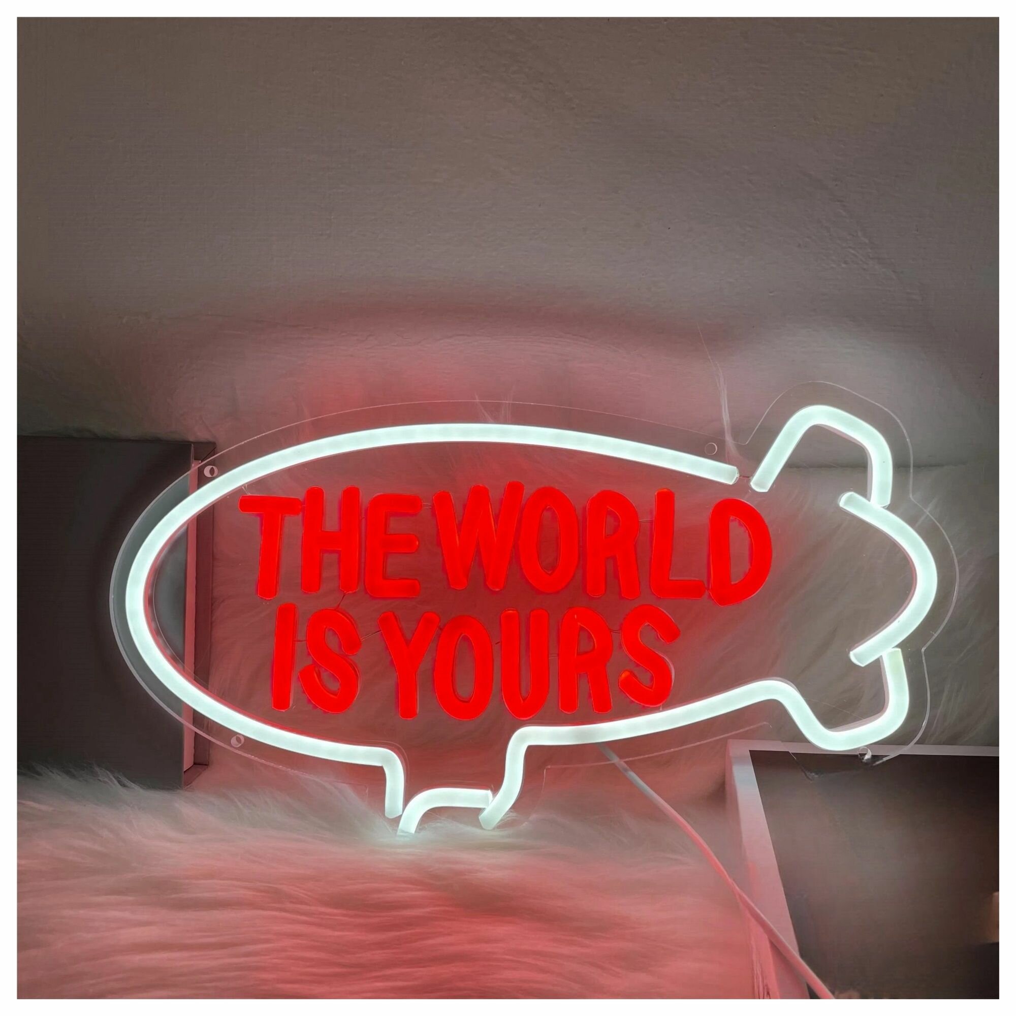 The World Is Yours Неоновая Вывеска USB 45смx28см