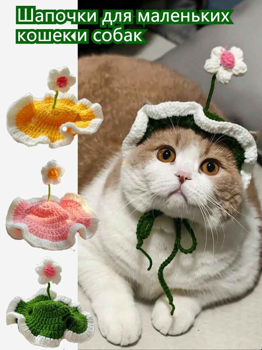 Вязаные шапочки для кошек и собак шапочки для питомцев вязаные шапки для животных