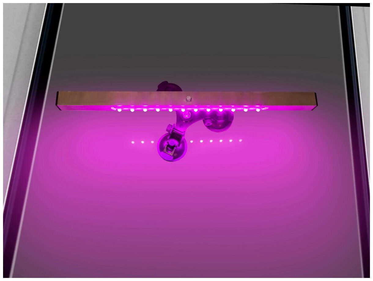 Фитосветильник оконный на присоске "Брахиум" 24 Вт